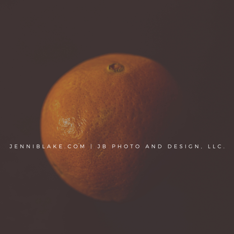 A GUIDE TO OFF SEASON PHOTOGRAPHY | JENNI BLAKE | JBPD, LLC ...
